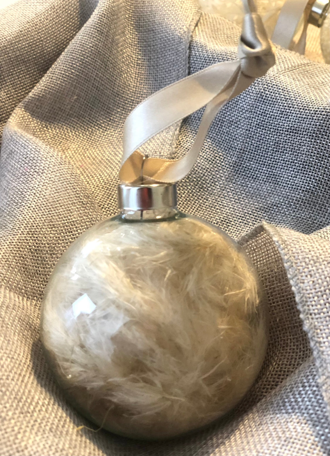 Primrose And Ivy – Primrose and Ivy